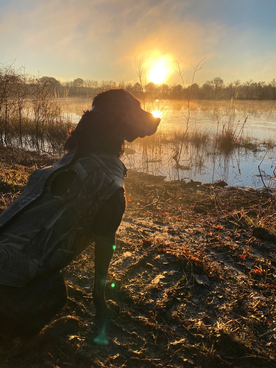 Duck Hunting | Almost Heaven Plantation